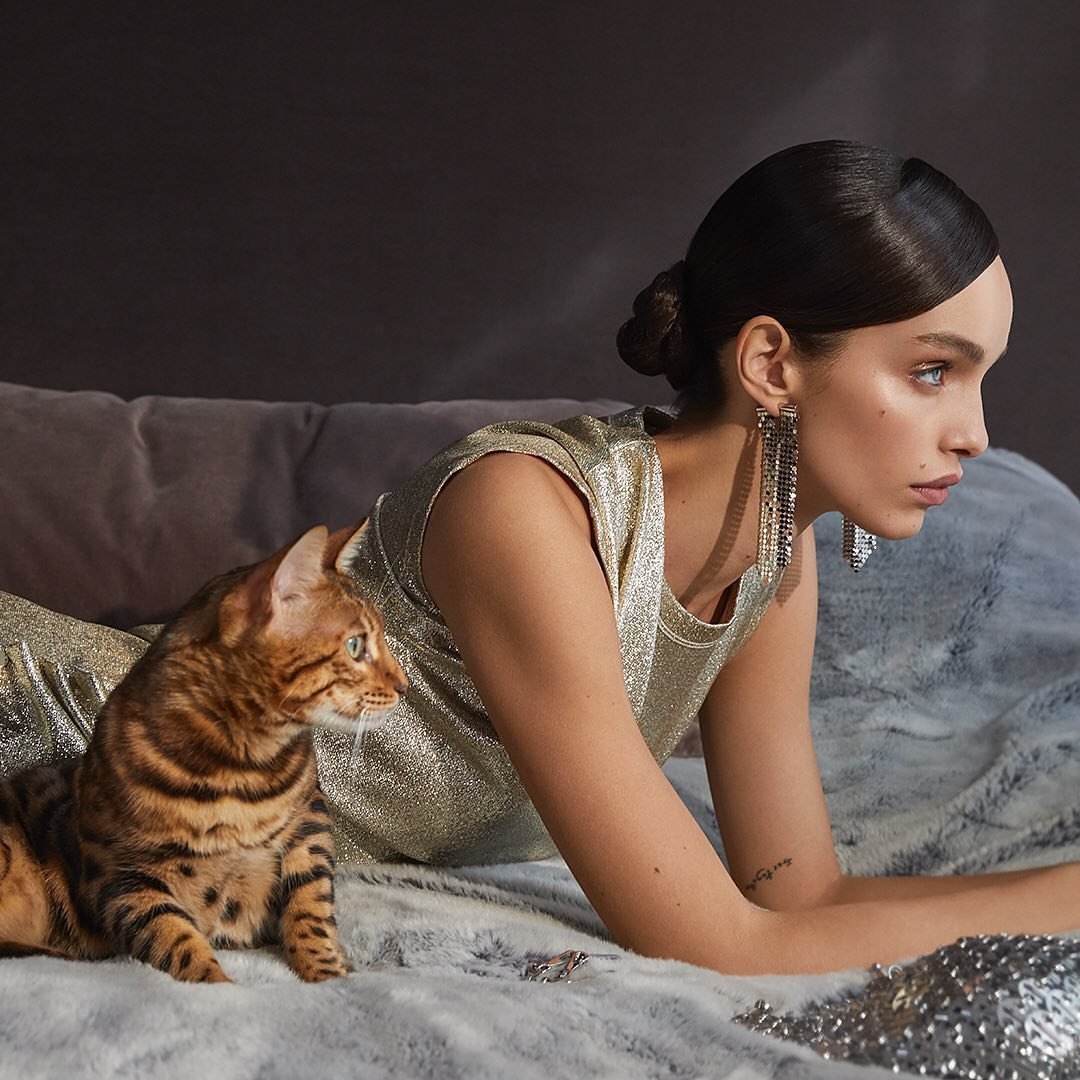 Top 10 Pet Names For Cats